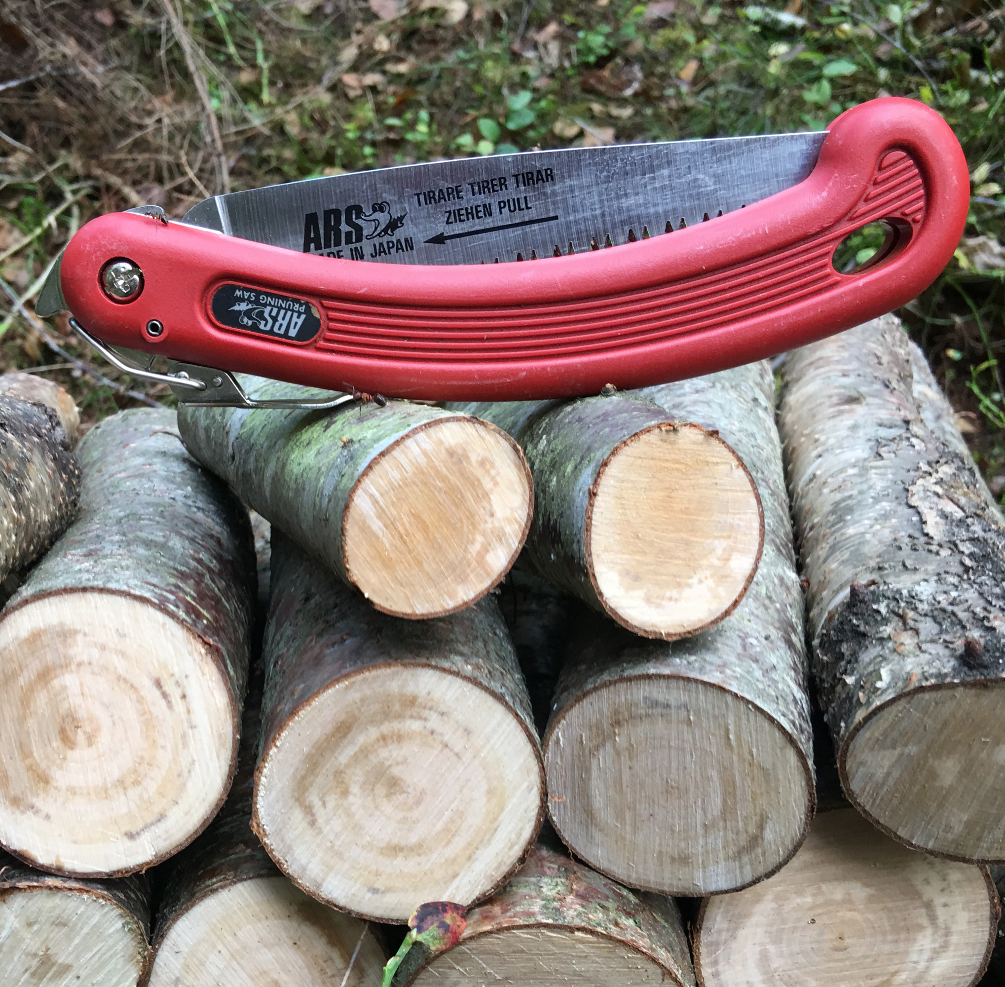 Hagesaks.no. ARS Liten foldesag